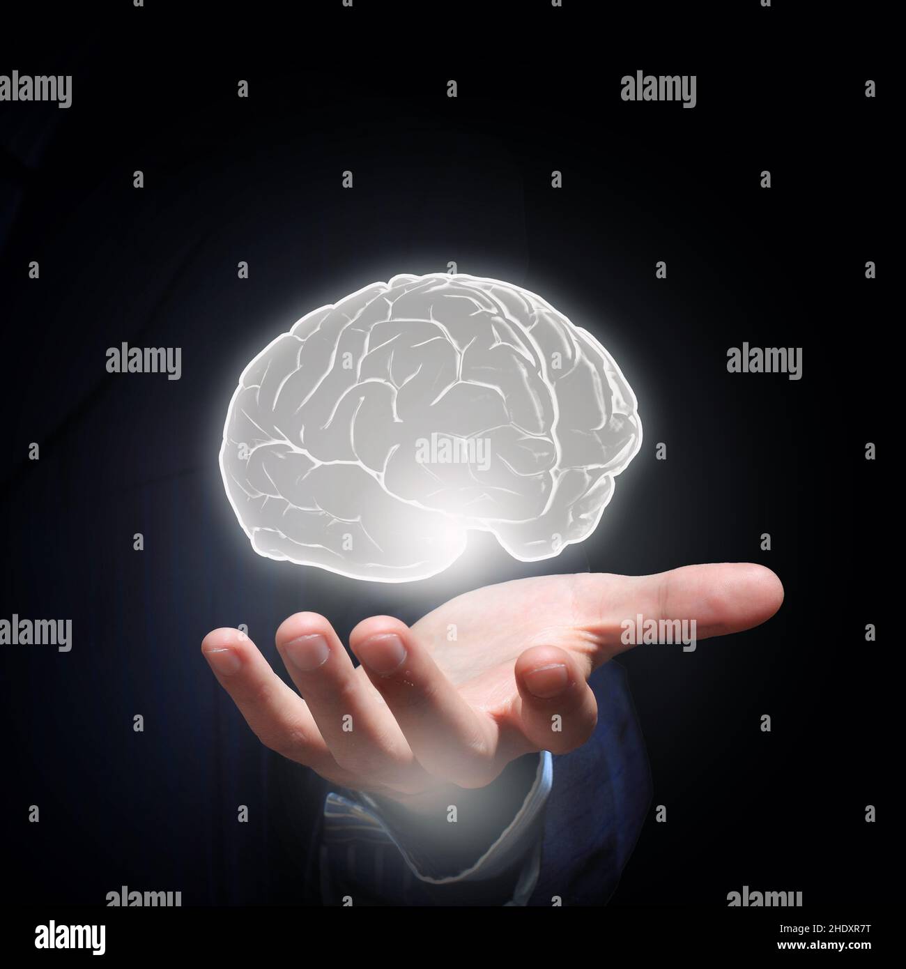 knowlege, intelligence, brain, knowleges, intelligences, brains Stock ...