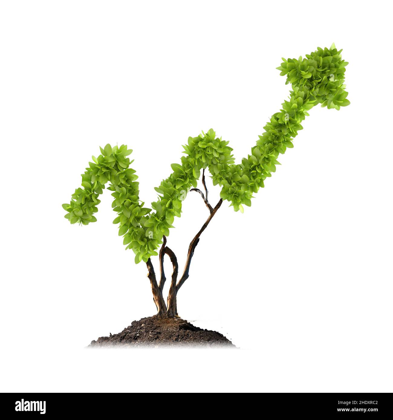 growth, development, direction, growths, rise, developments, directions ...