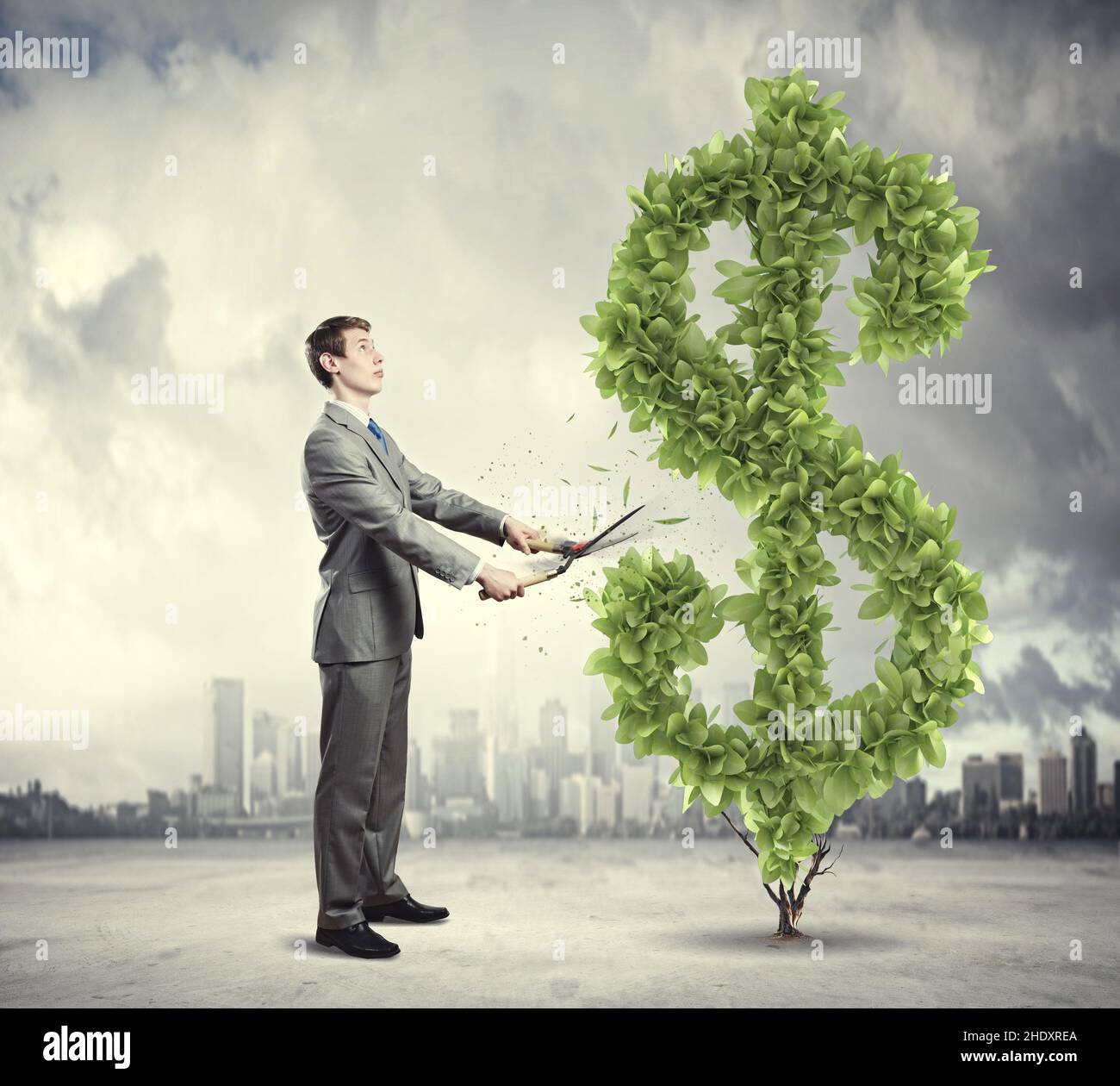growth, dollar sign, money tree, growths, rise, dollar signs, crassula ...
