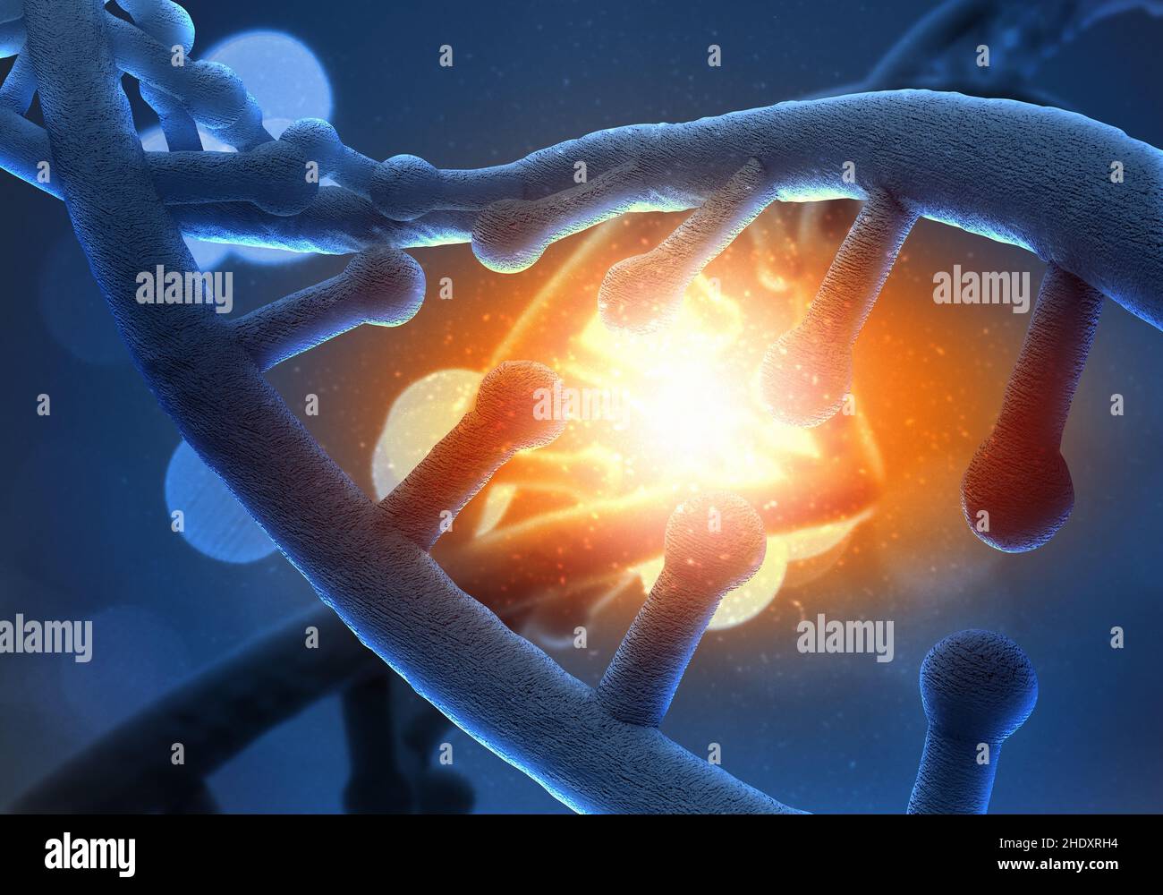 dna, gene, dna strand, dnas, genes, dna strands Stock Photo - Alamy