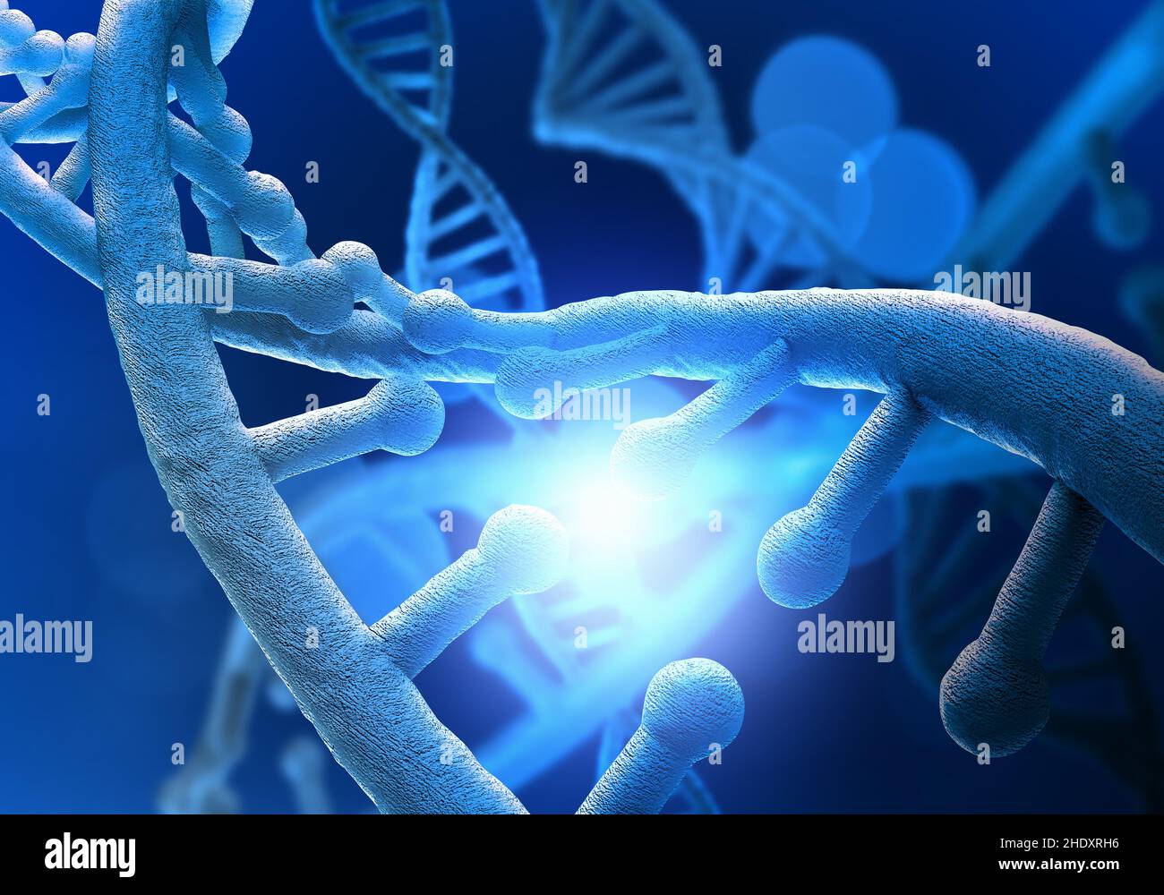 dna, double helix, dna strand, dnas, double helixs, dna strands Stock ...