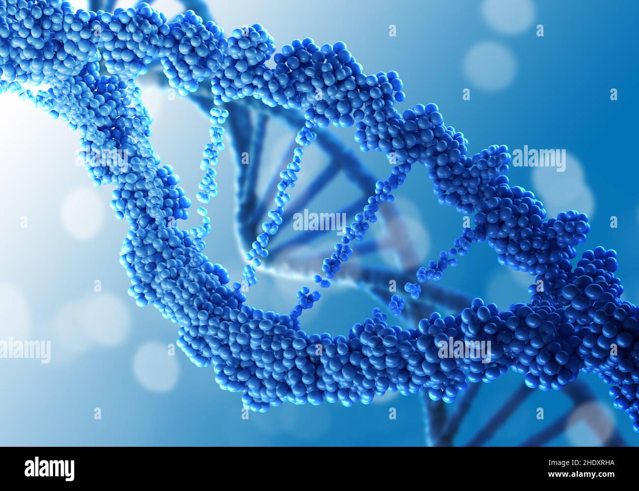 dna, double helix, dna strand, dnas, double helixs, dna strands Stock ...
