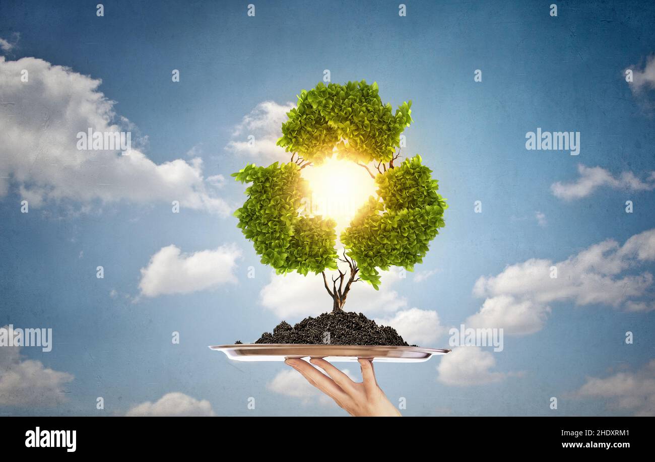 environment protection, recycling, recycling code, environment ...