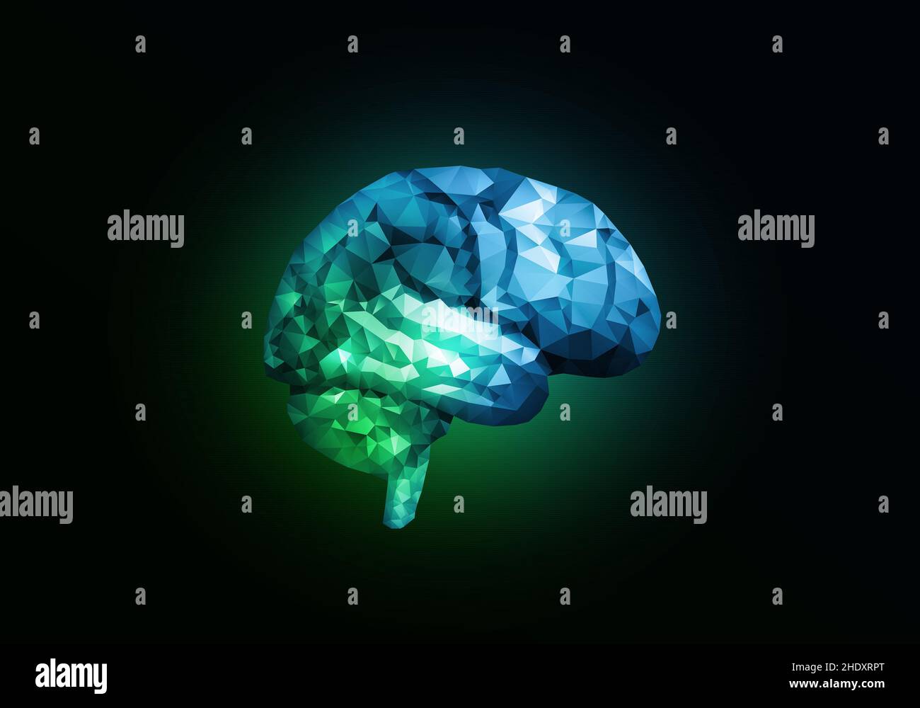 wisdom, brain, neurology, wisdoms, brains, neurologies Stock Photo - Alamy