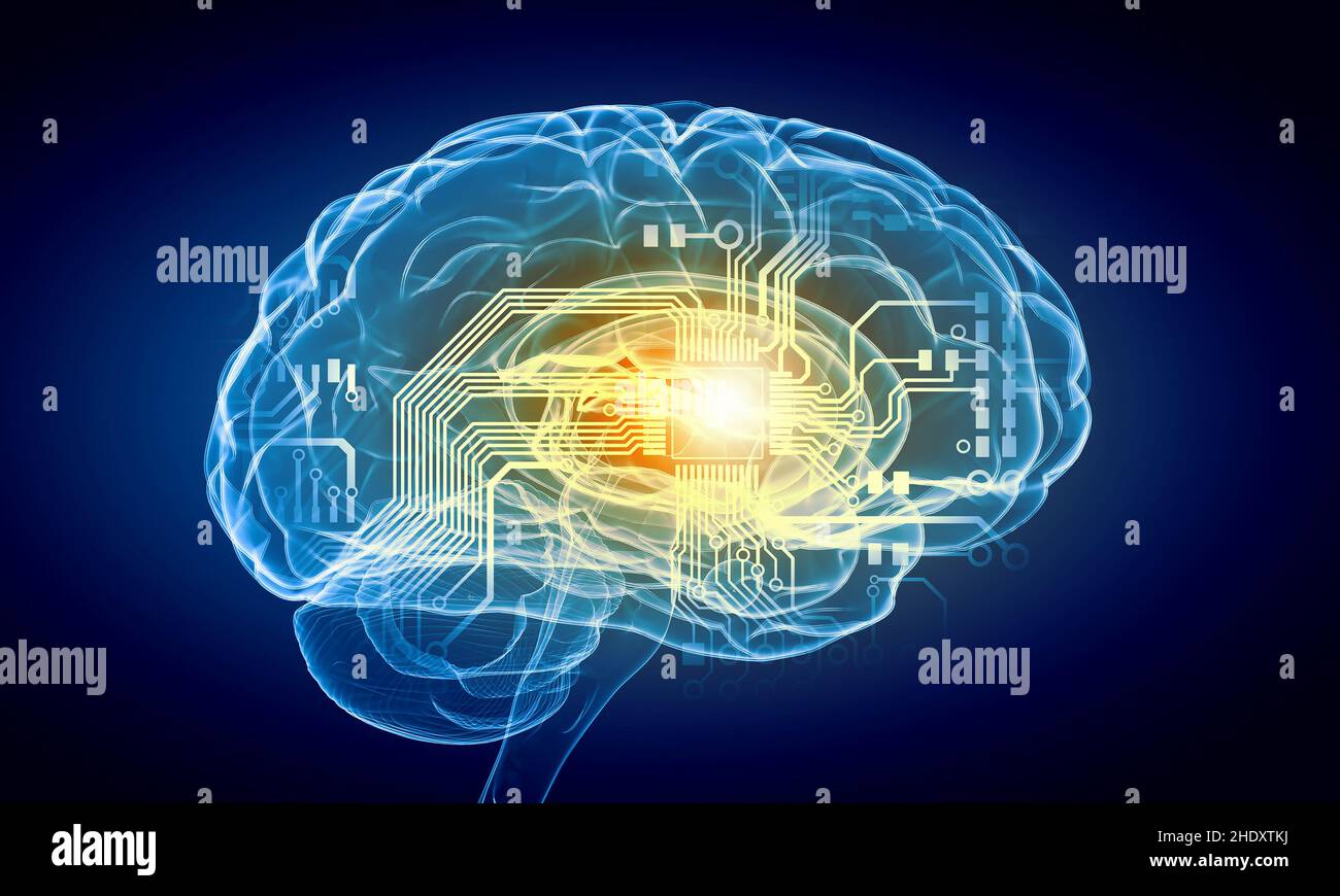 memory, brain, neurology, control center, memories, brains, neurologies ...