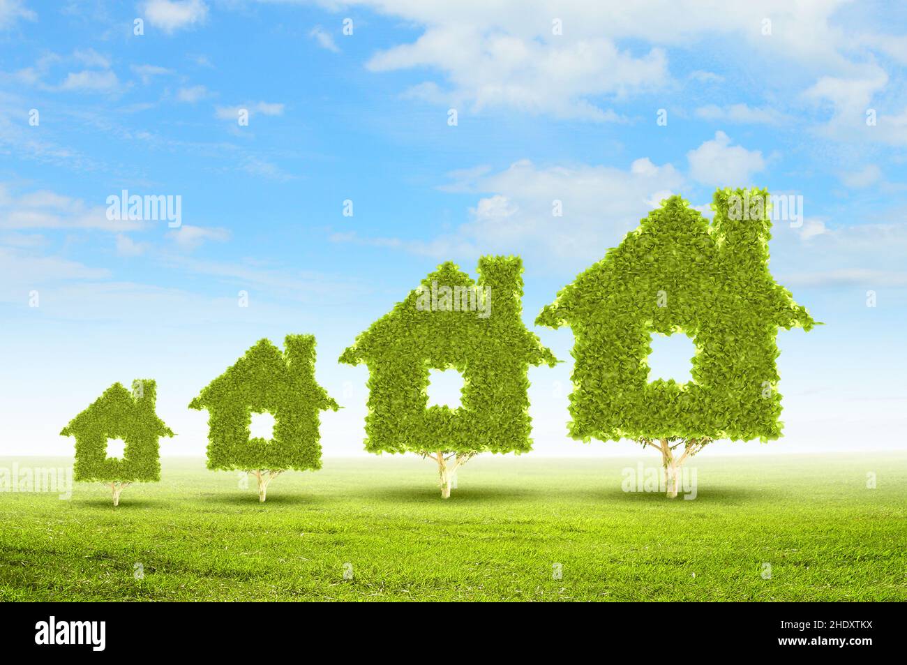 building activity, housing, sustainability, eco friendly house ...