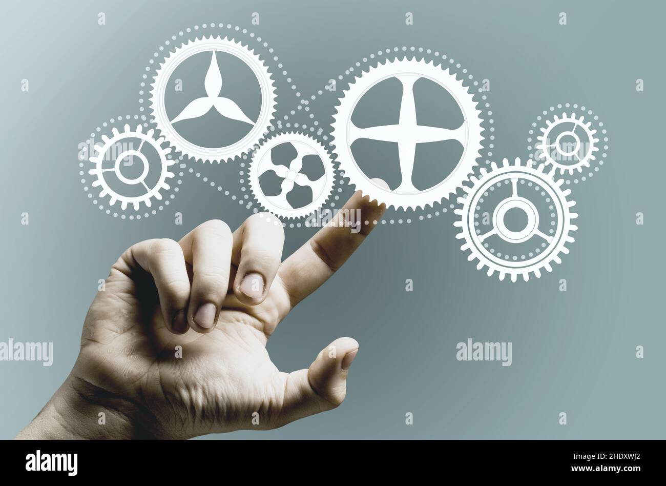 development, mechanism, interplay, developments, mechanisms, interplays ...