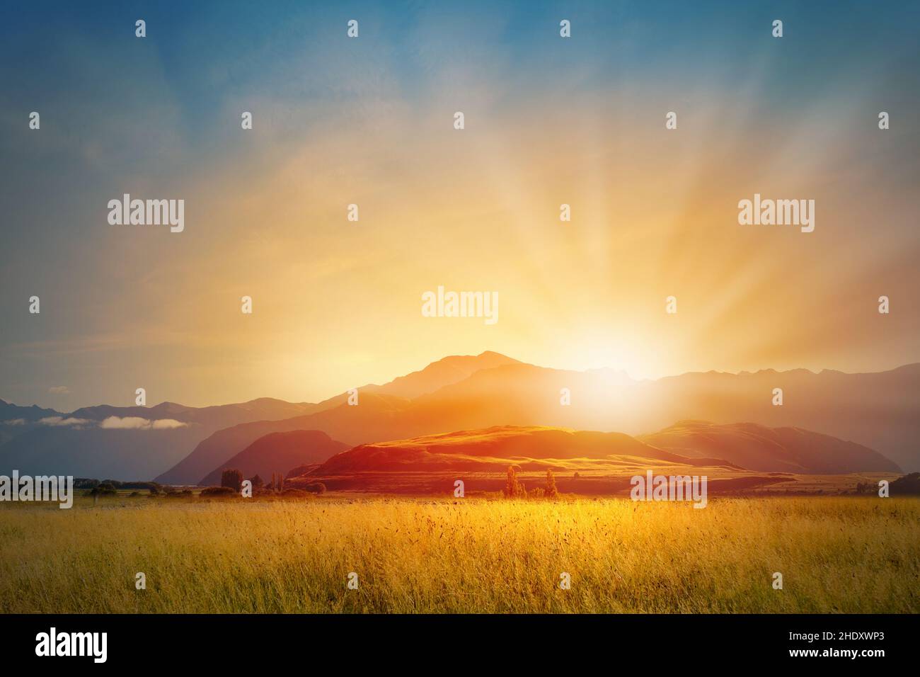 landscape, evening sun, light moods, landscapes, rural, rural scene ...