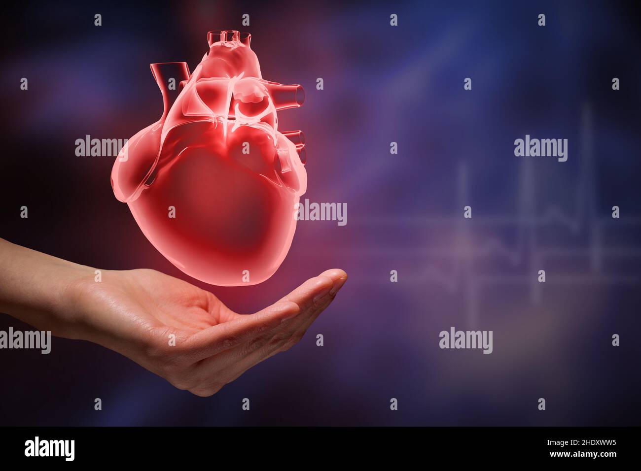 heart, heartbeat, protect, hearts, heartbeats, protects Stock Photo - Alamy