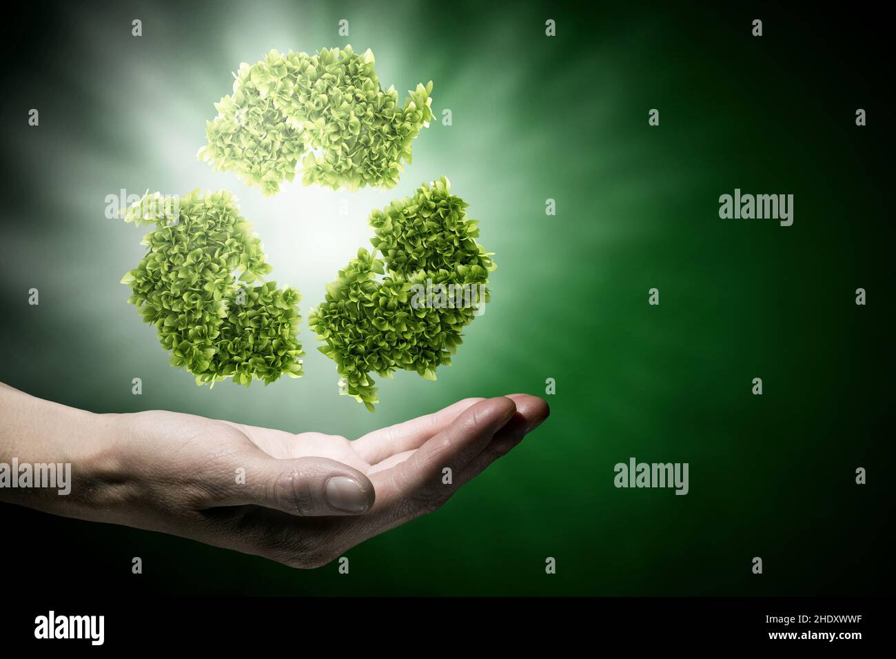 recycling, circulation, recycling code, recycle, circulations ...