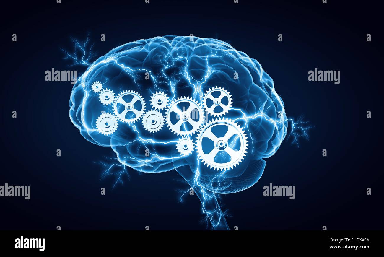 gears, intelligence, brain, gear, intelligences, brains Stock Photo - Alamy