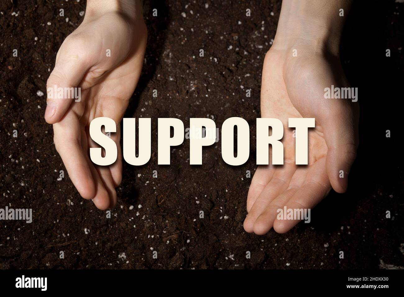 customer service, support, customer services, supporting, supportive ...