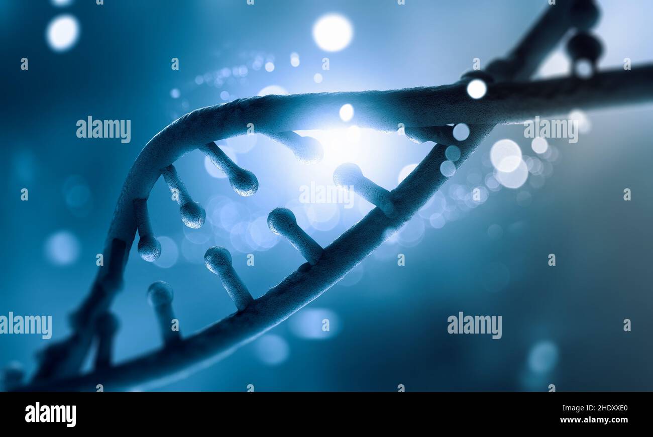 dna, heredity, dna strand, dnas, heredities, dna strands Stock Photo ...