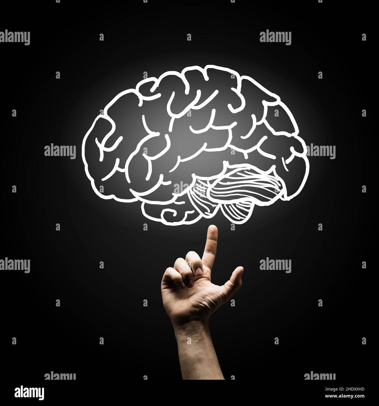 knowlege, intelligence, brain, knowleges, intelligences, brains Stock ...