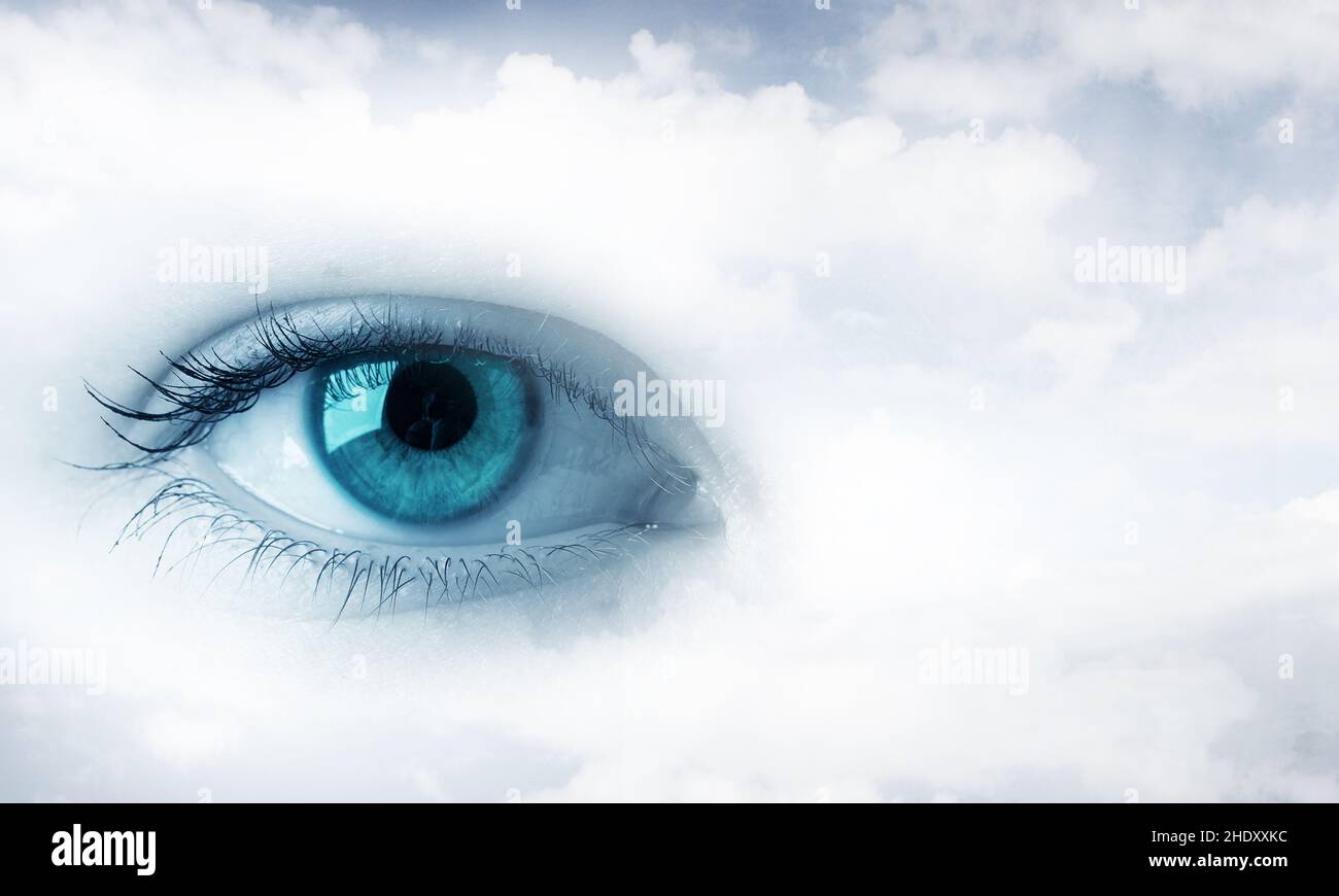 eye, see, eyesight, eyes, looking, seeing, sees, eyesights Stock Photo ...