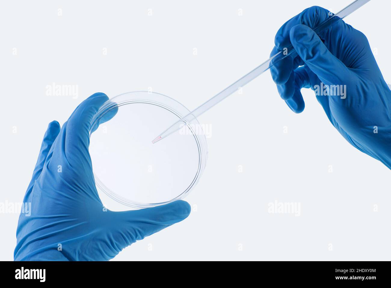 research, biochemistry, microbiology, researchs, biochemistries ...