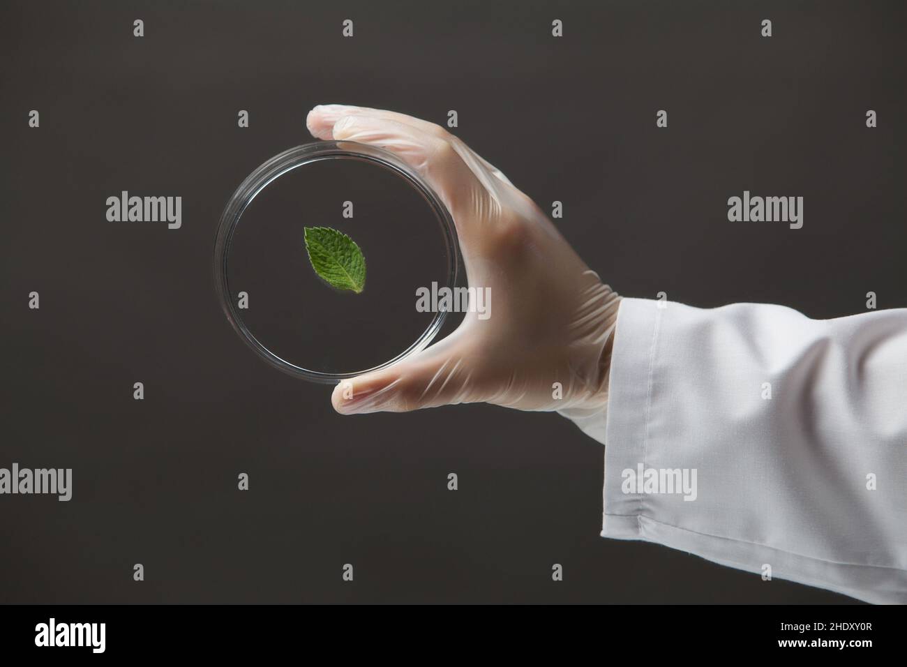 biology, biochemistry, microbiology, biologies, biochemistries ...