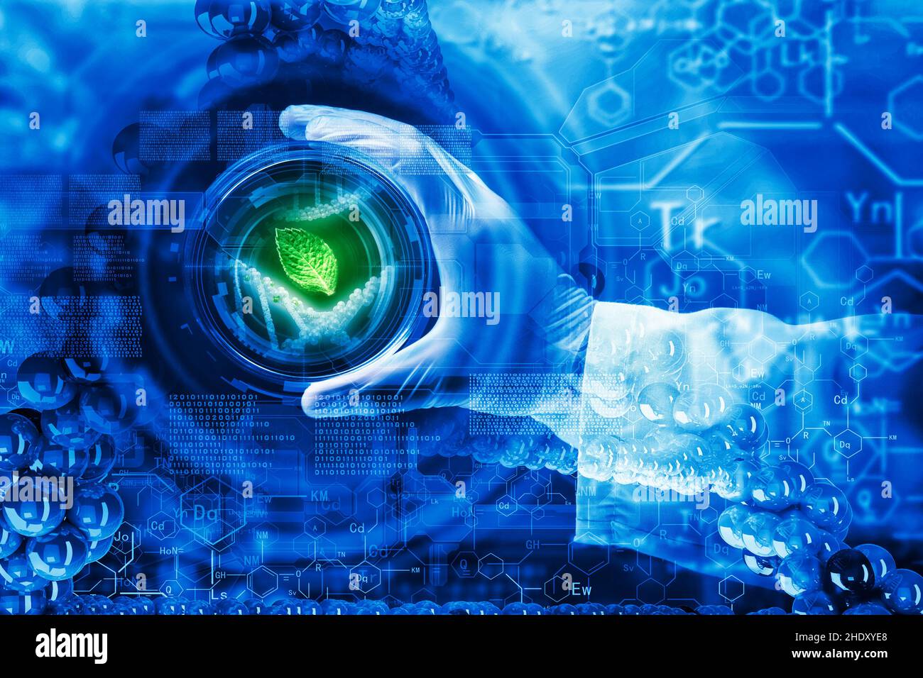 Plant and crop sciences hi-res stock photography and images - Alamy