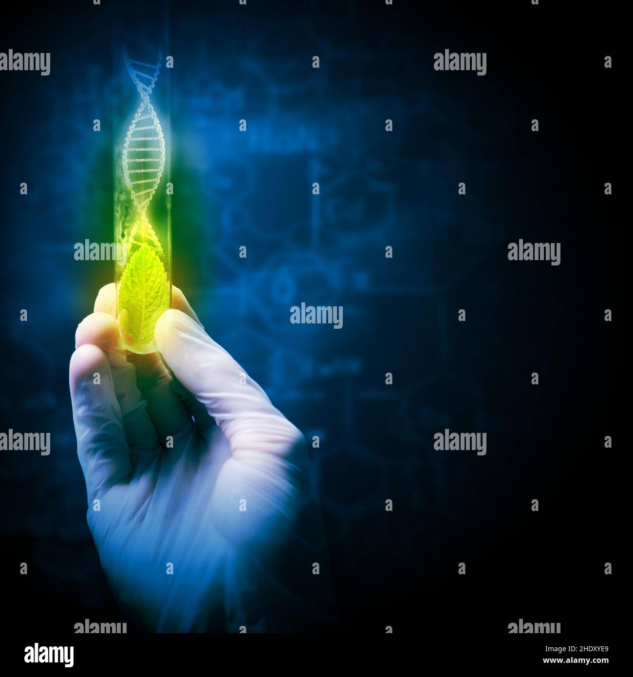 biotechnology, dna, molecular biology, biotechnologies, dnas, molecular ...