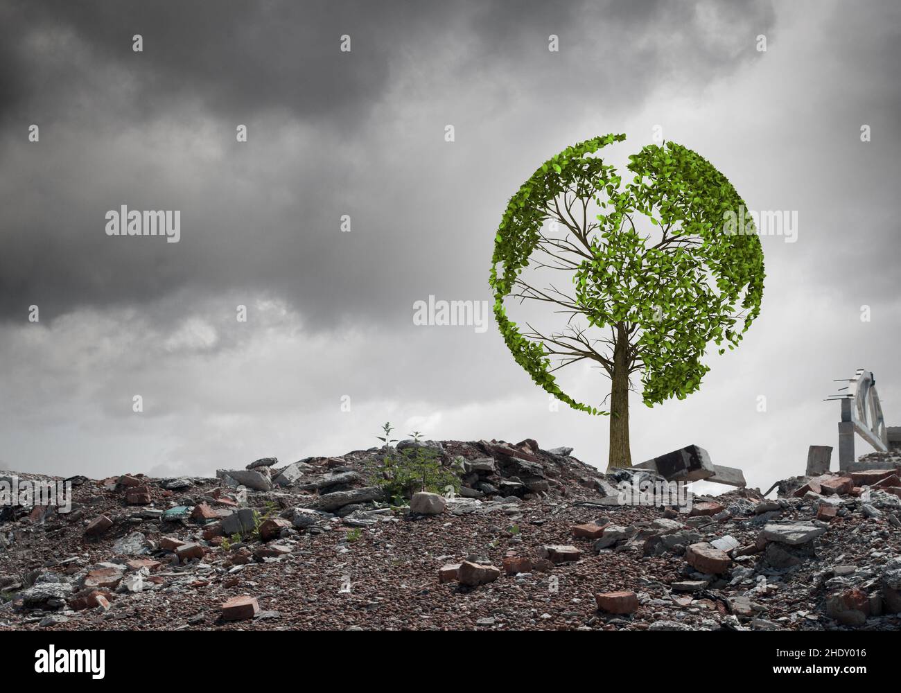 environmental damage, ecology, natural disaster, environmental damages ... environmental damage, ecology, natural disaster, environmental damages ...