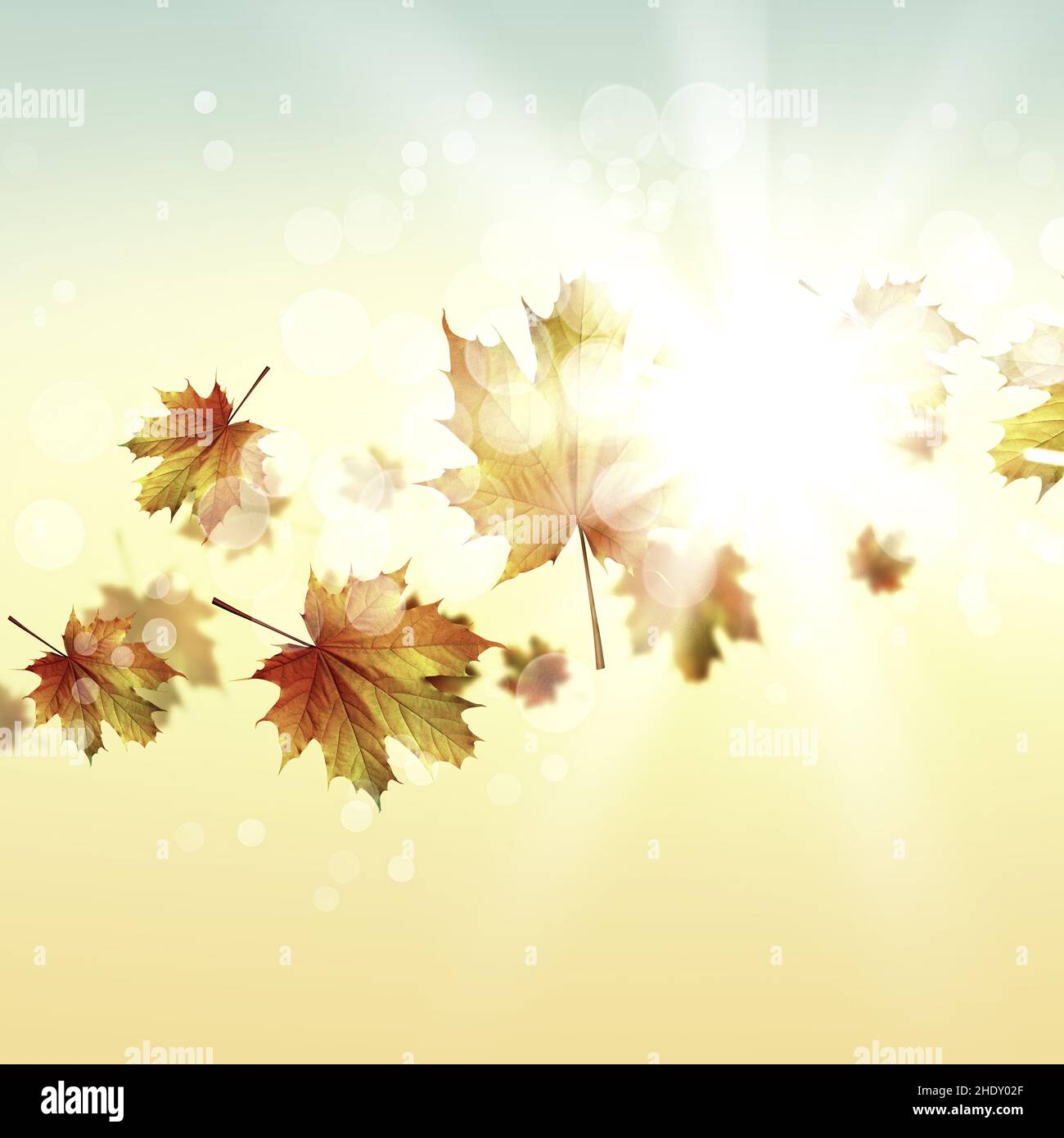 autumn leaves, maple leaves, light beam, leaf, maple leavf, light beams ...