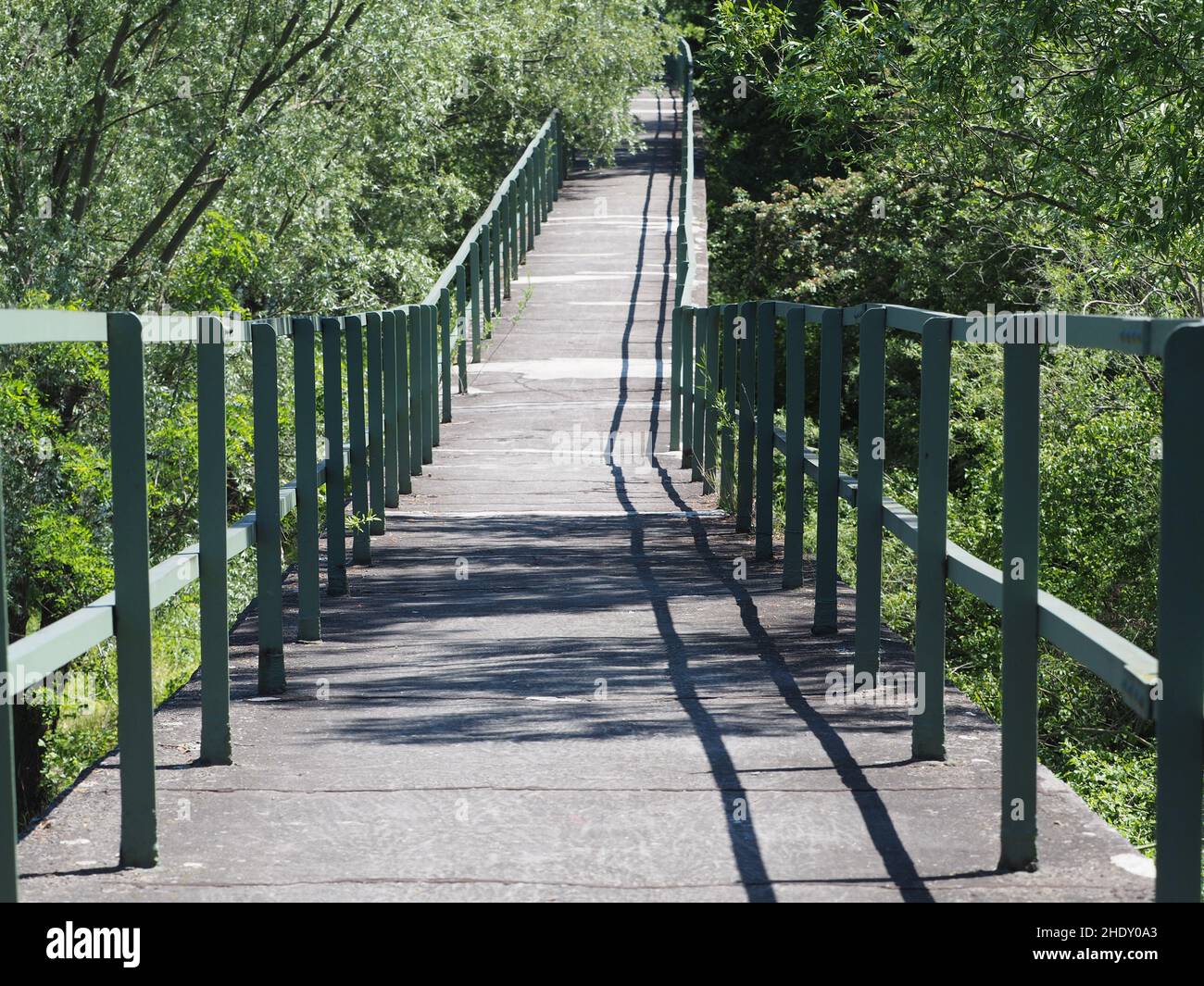 A long narrow bridge between green bushes Stock Photo - Alamy