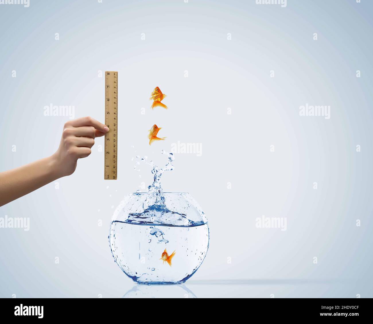 jump, measuring, achievement, ruler, goldfish, jumper, jumping, jumps ...