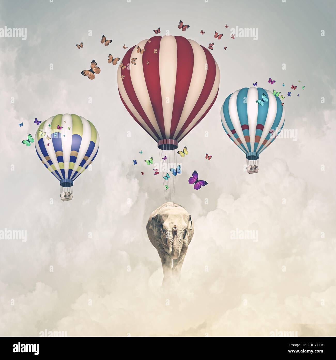 freedom, fantasy, boundless, surreal, freedoms, fantasies, surreals ...