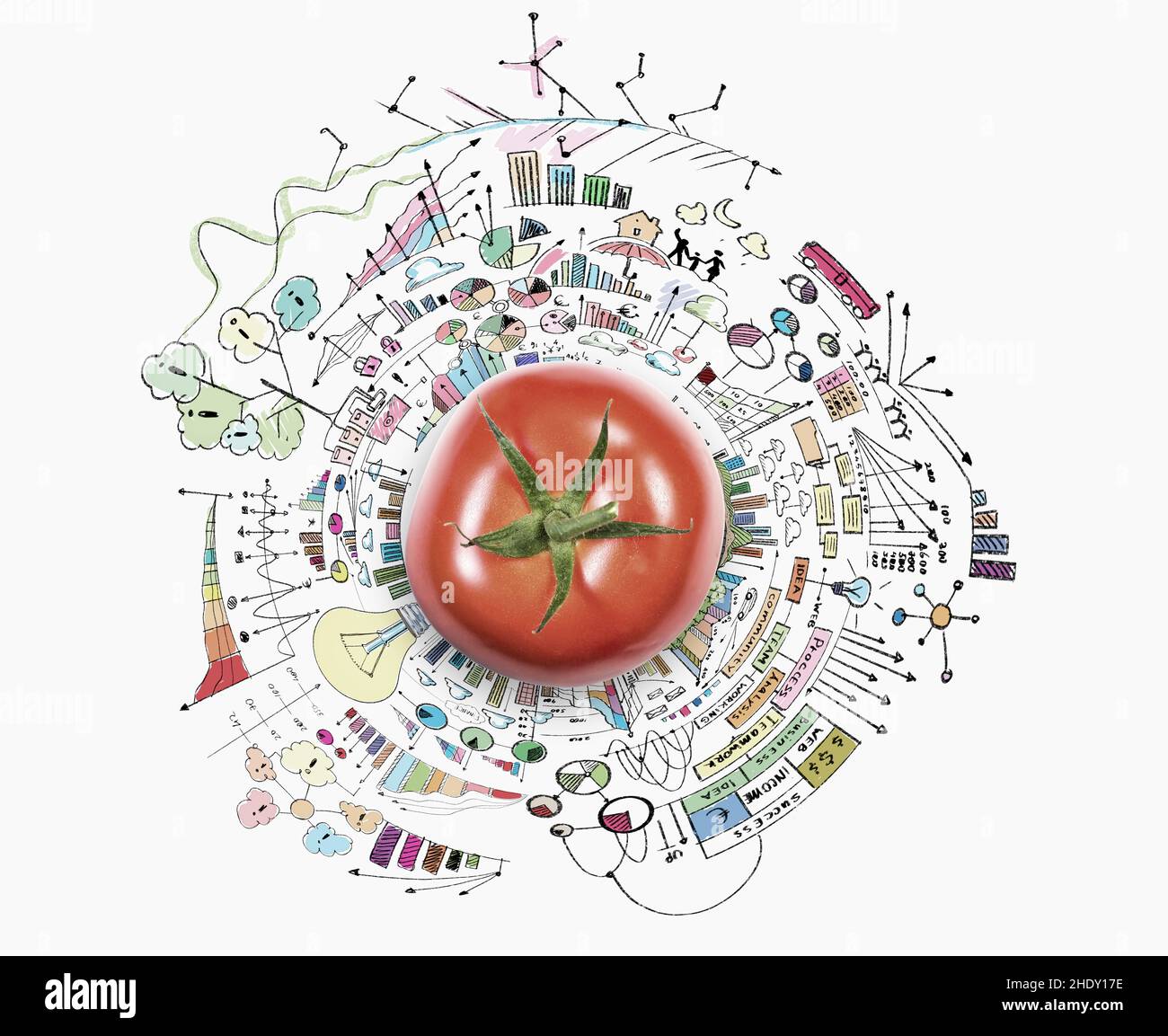 development, tomato, concept, presentation, visualization, developments ...