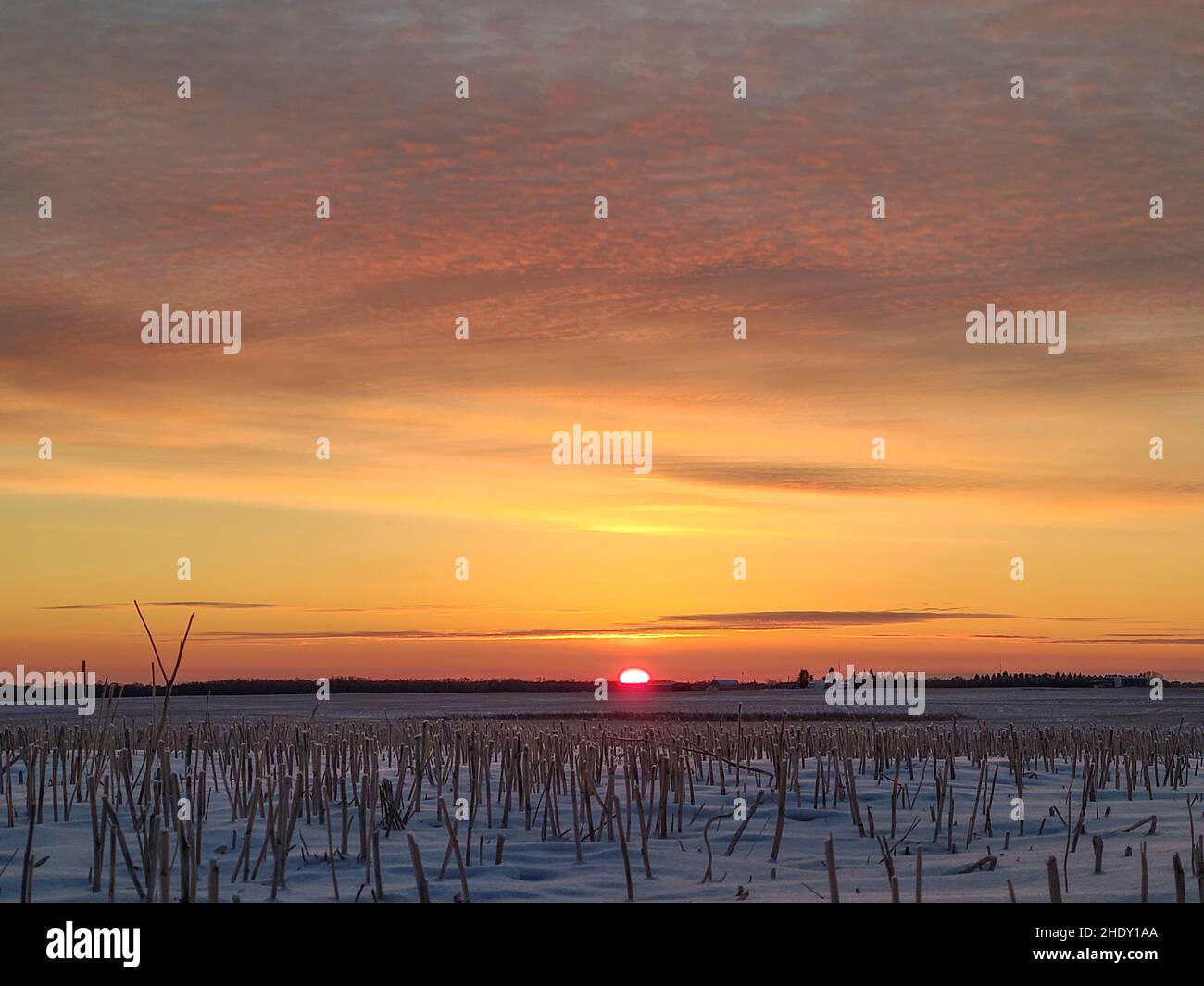Saskatchewan winter hi-res stock photography and images - Alamy