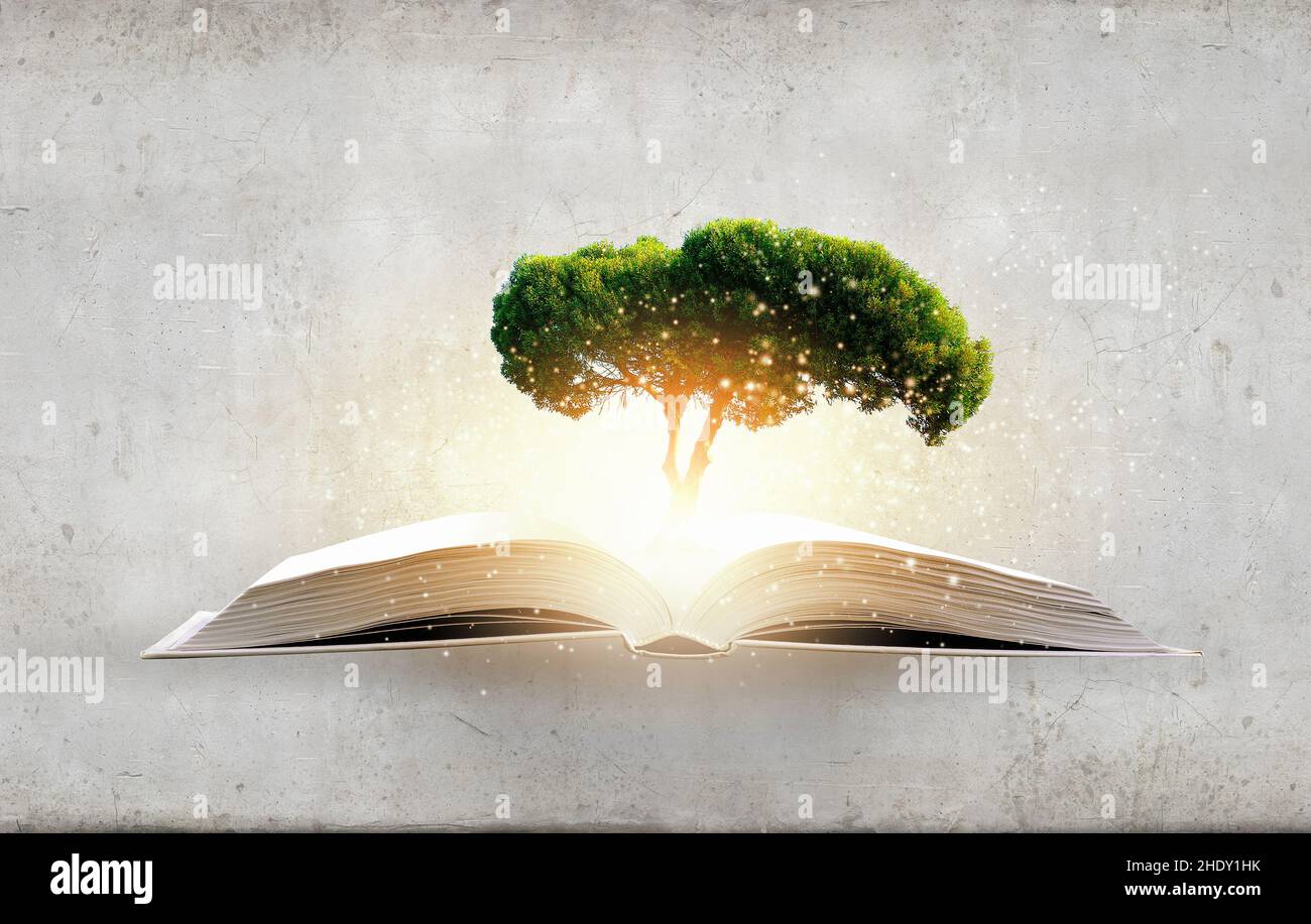 education, fantasy, knowlege, inspiration, imagination, educations ...