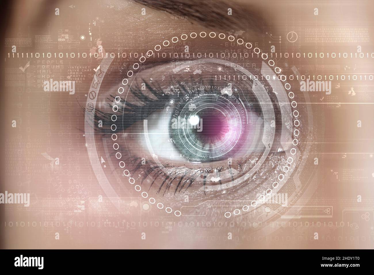 eye, pupil, identity, identification, eyes, pupils, identities ...