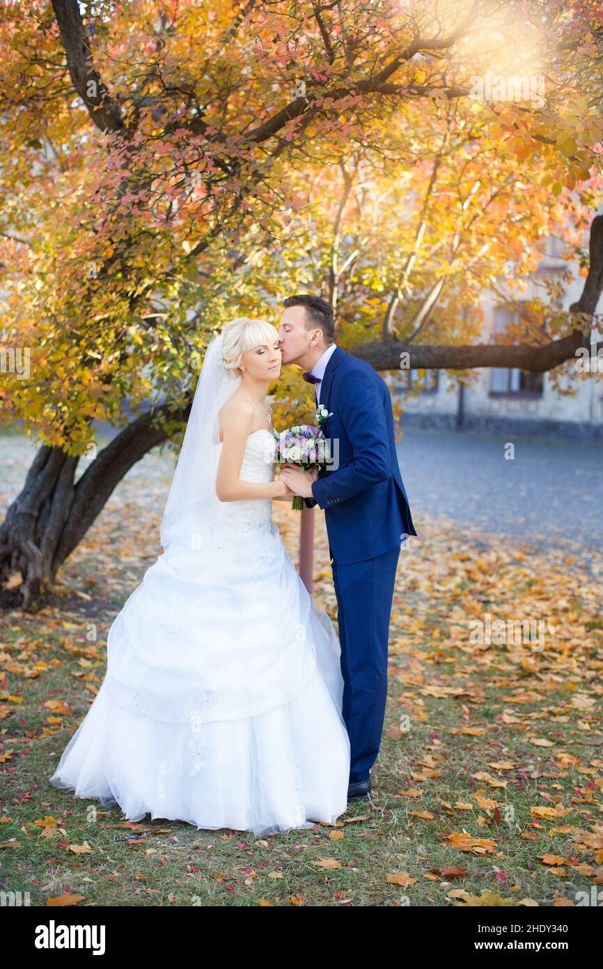kissing, bridal couple, bridal couples Stock Photo - Alamy