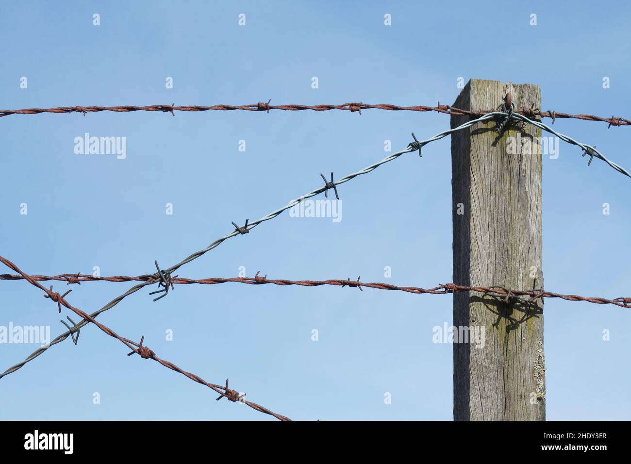 razor wire, barbed wire fence, razor wires, barbed wire fences Stock ...