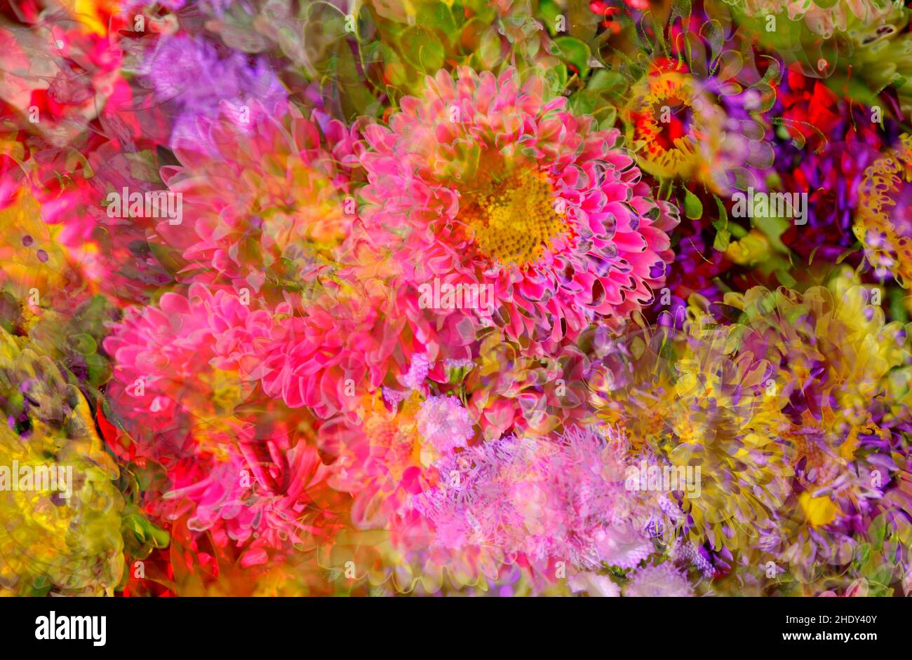 Multi colored floral patterns hi-res stock photography and images - Alamy