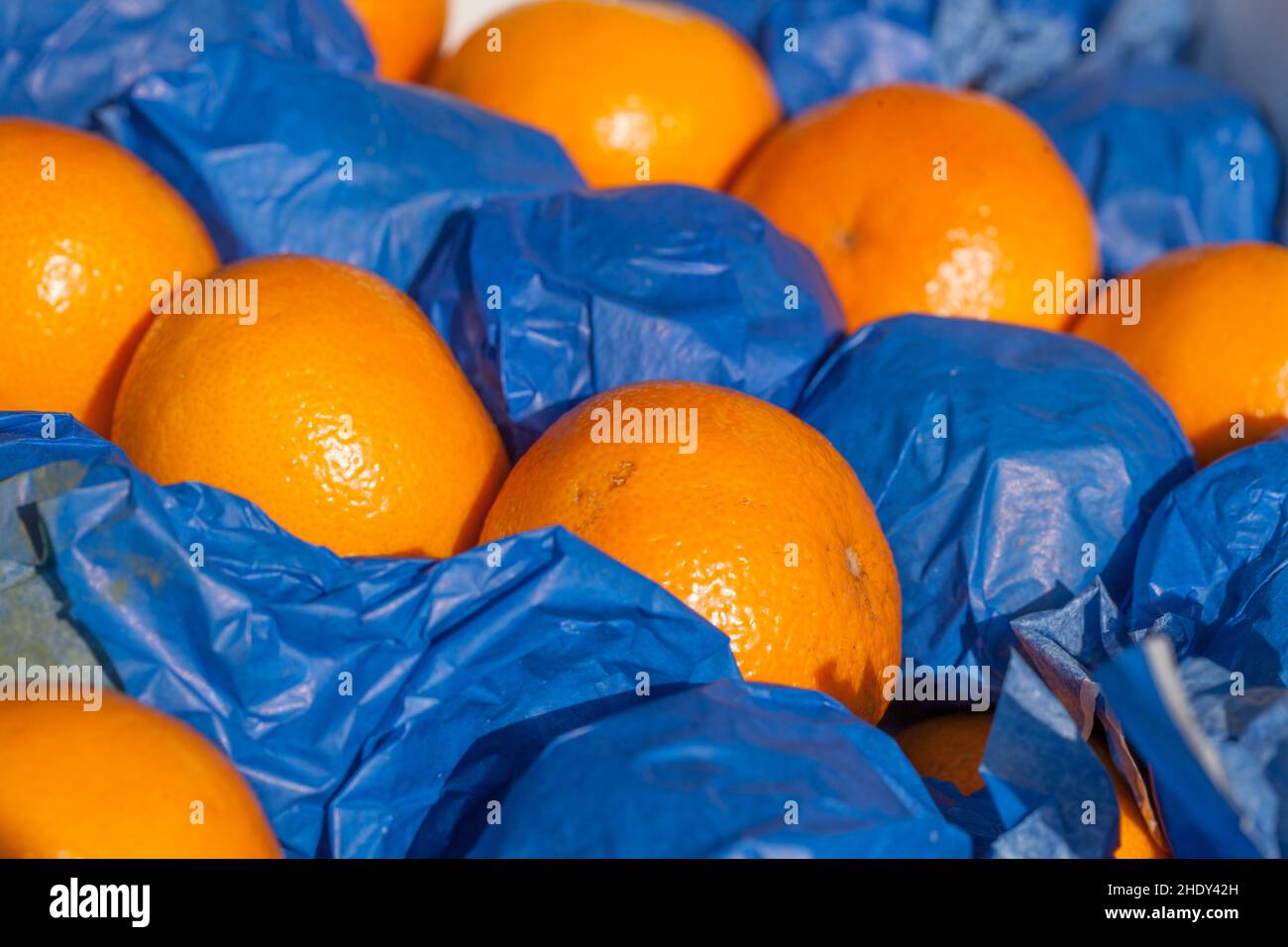 Packing of oranges hi-res stock photography and images - Alamy
