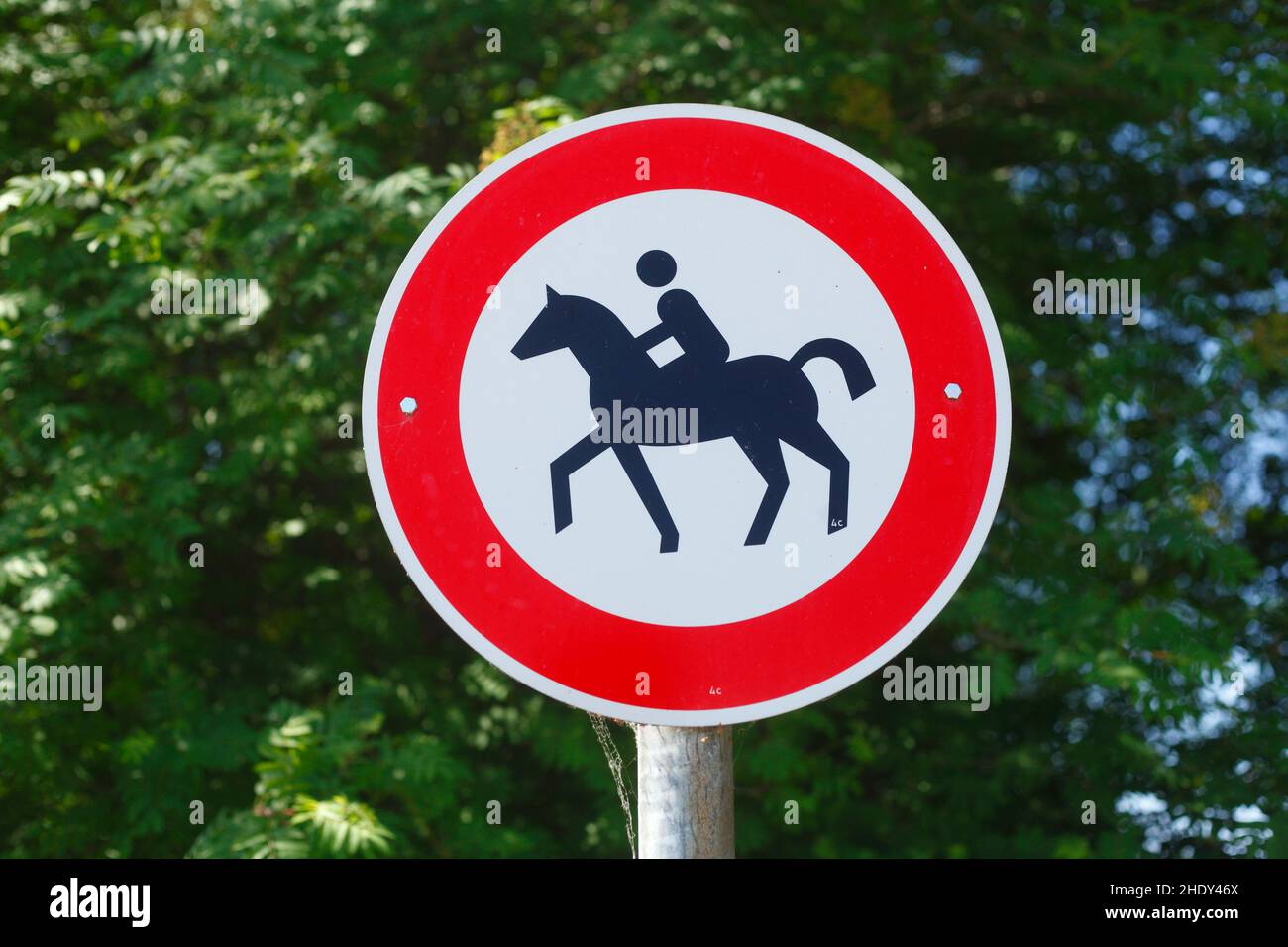 traffic sign, no riding, road sign, road signs, traffic signs, riding ...