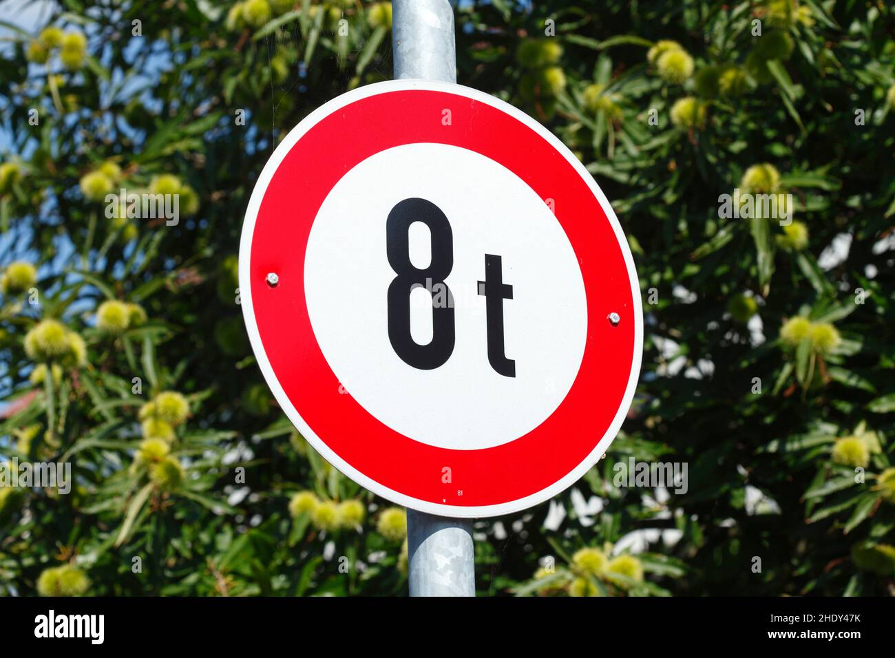 driving forbidden, driving forbiddens Stock Photo - Alamy