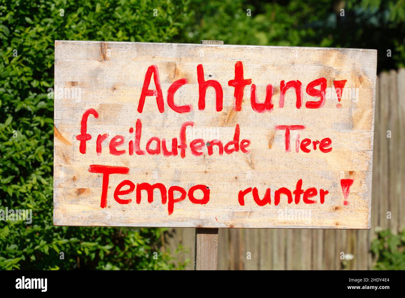 information sign, speed limit, animal welfare, information signs, speed ...