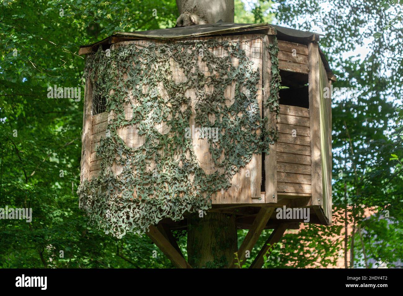 Camouflaged house hi-res stock photography and images - Alamy