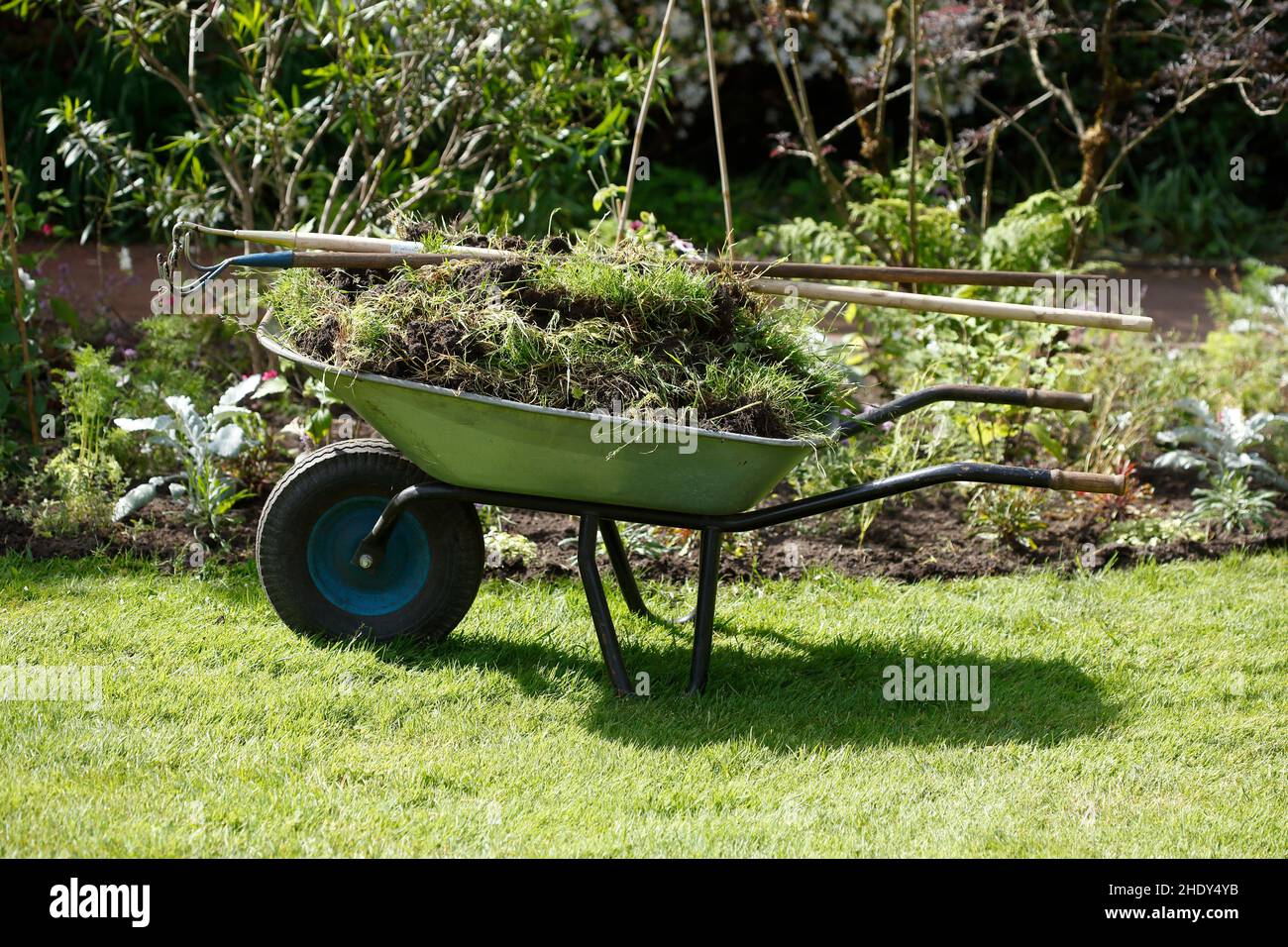wheelbarrow, gardening, waste, wheelbarrows, plant care, tending of ...