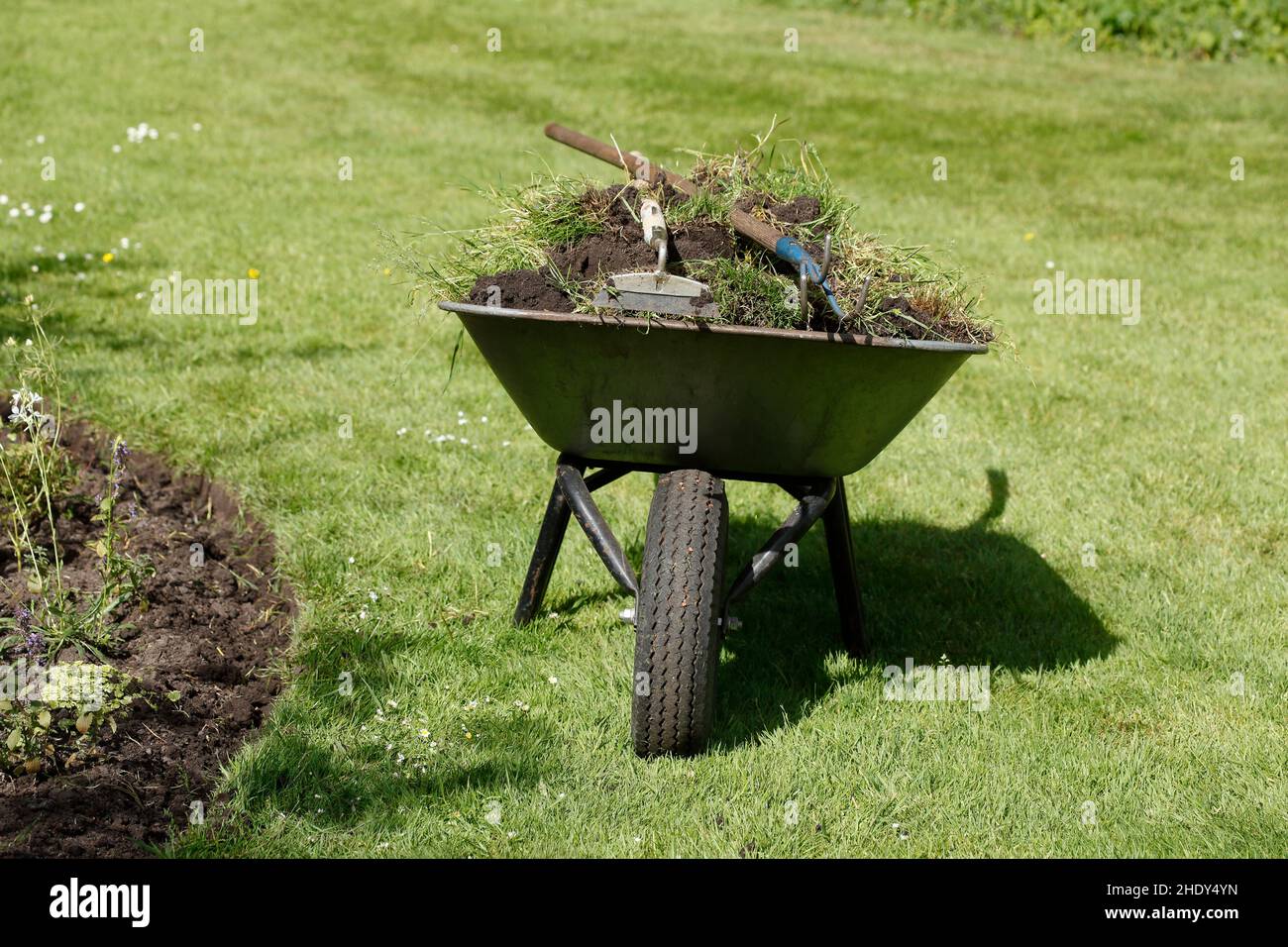 wheelbarrow, gardening, waste, wheelbarrows, plant care, tending of ...
