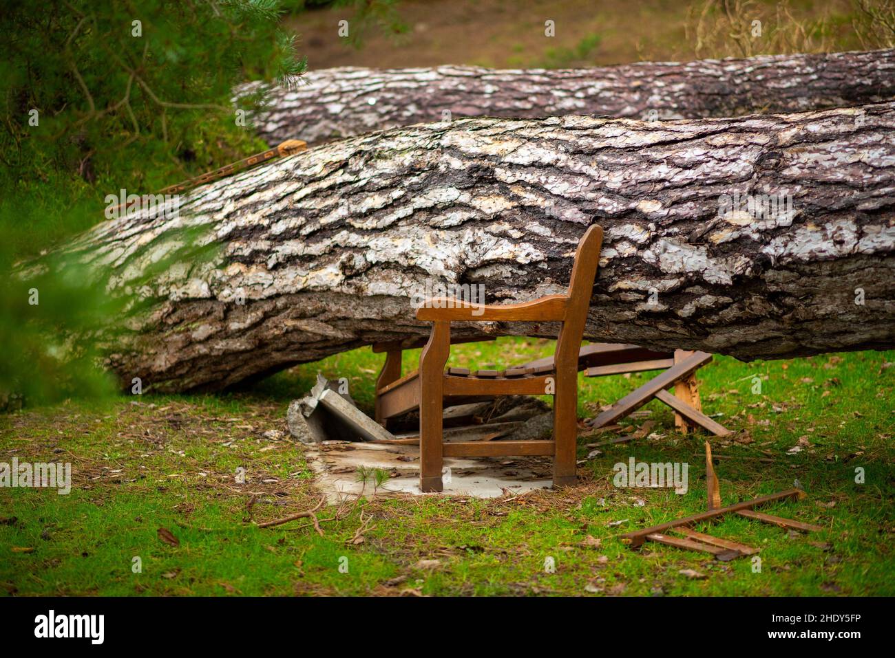 Park bench destroyed by a fallen tree, Arnside, Milnthorpe, Cumbria, UK ...