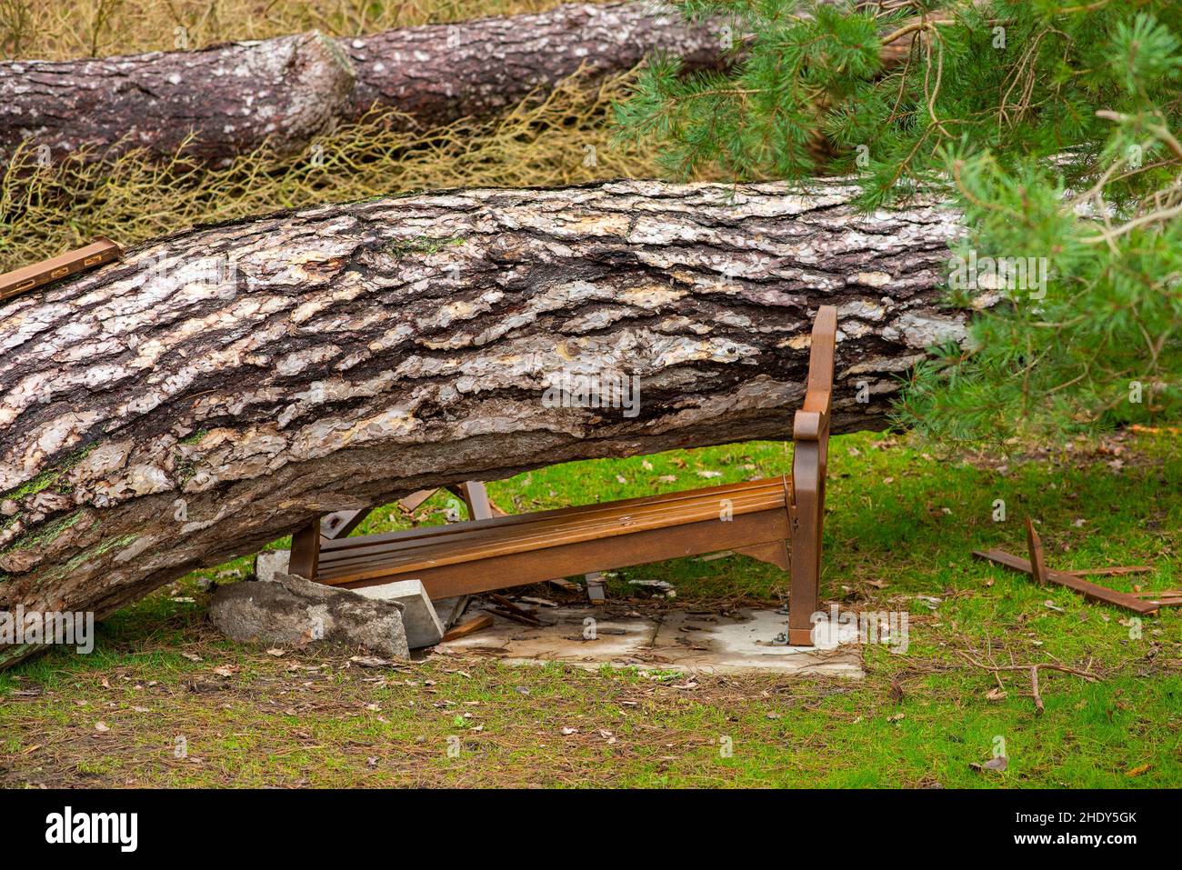 Park bench destroyed by a fallen tree, Arnside, Milnthorpe, Cumbria, UK ...