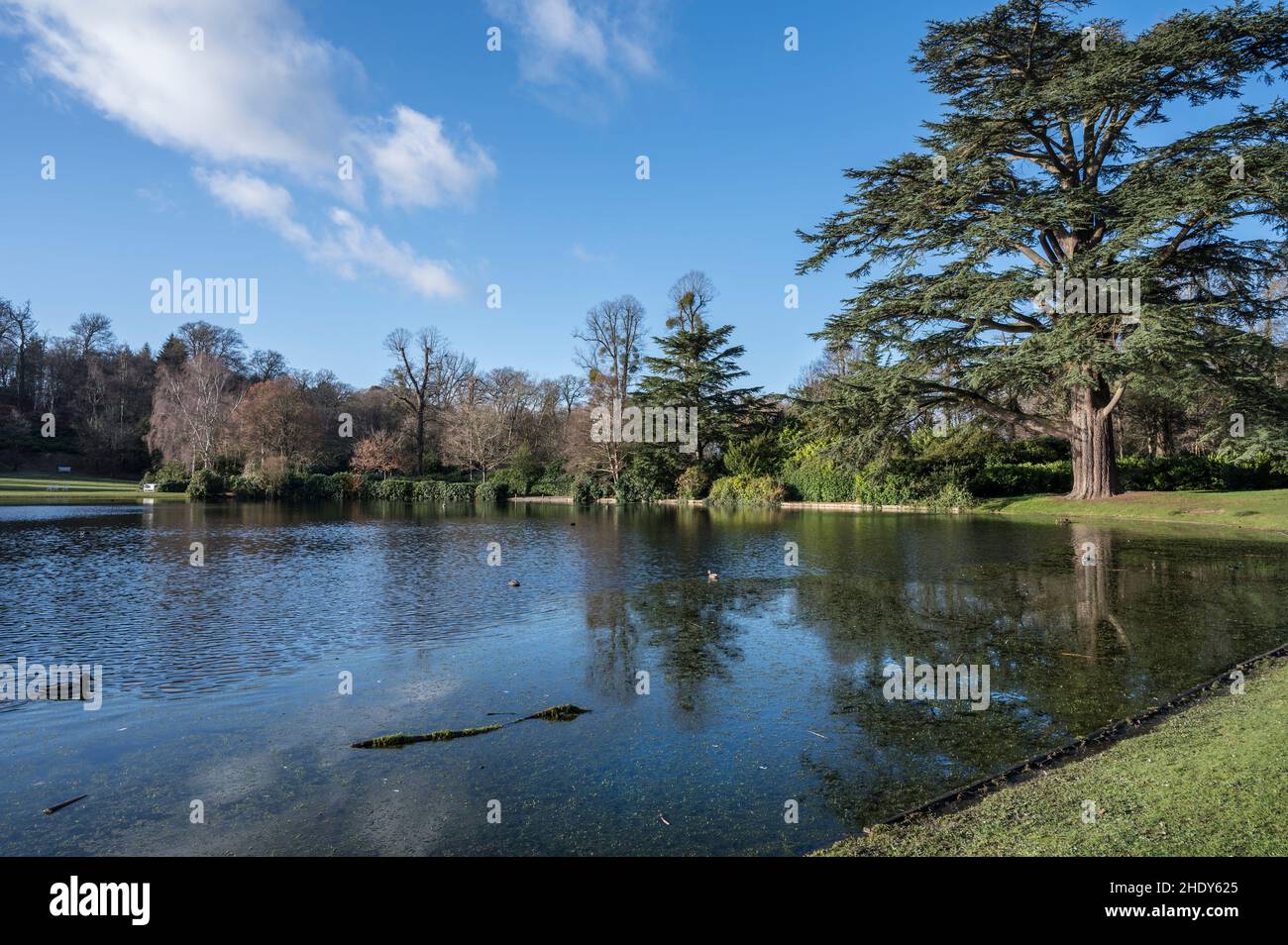 Winter sunshine at Claremont gardens and lake in the heart of Surrey ...