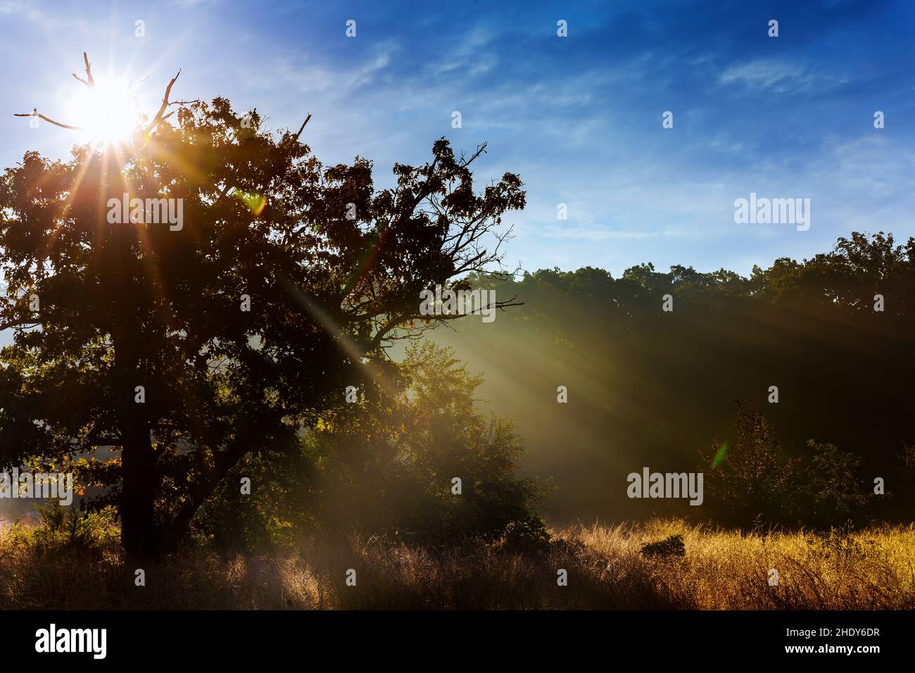 landscape, light moods, landscapes, rural, rural scene, scene, scenery ...