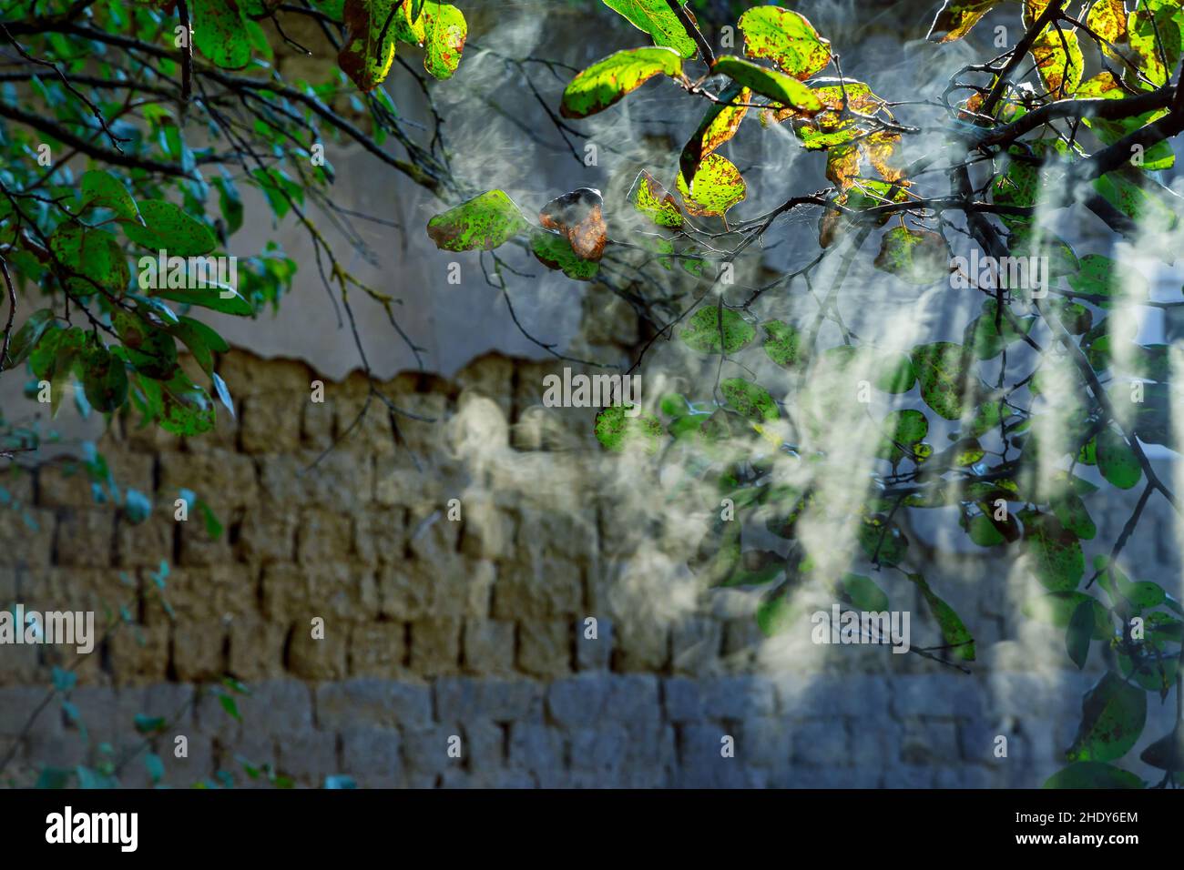 fog, stone wall, light incidence, fogs, stone walls, lights Stock Photo ...
