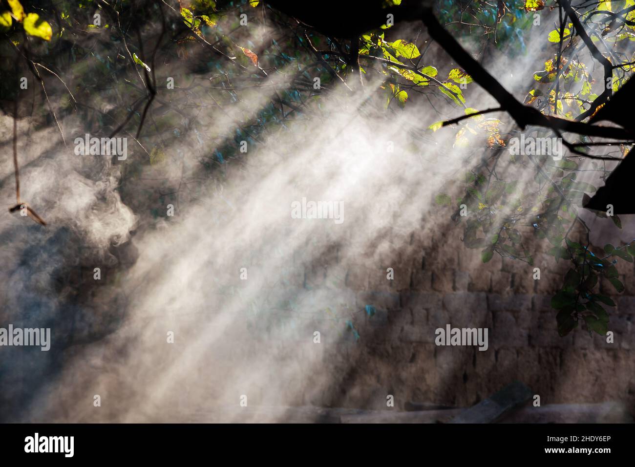 fog, sunbeams, light incidence, fogs, sun beams, sun ray, sun rays ...