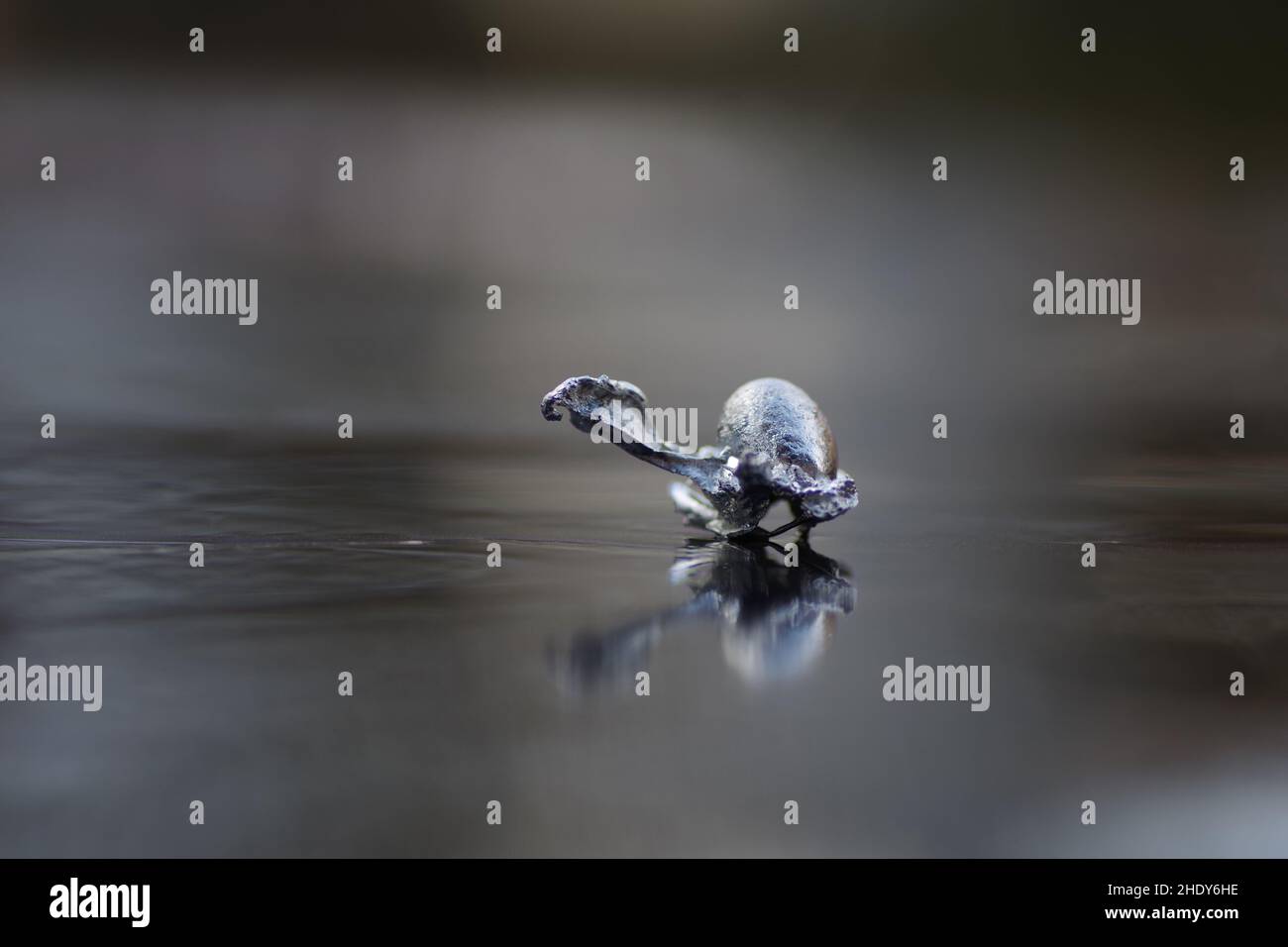 Pewter casting object on the lake Stock Photo - Alamy