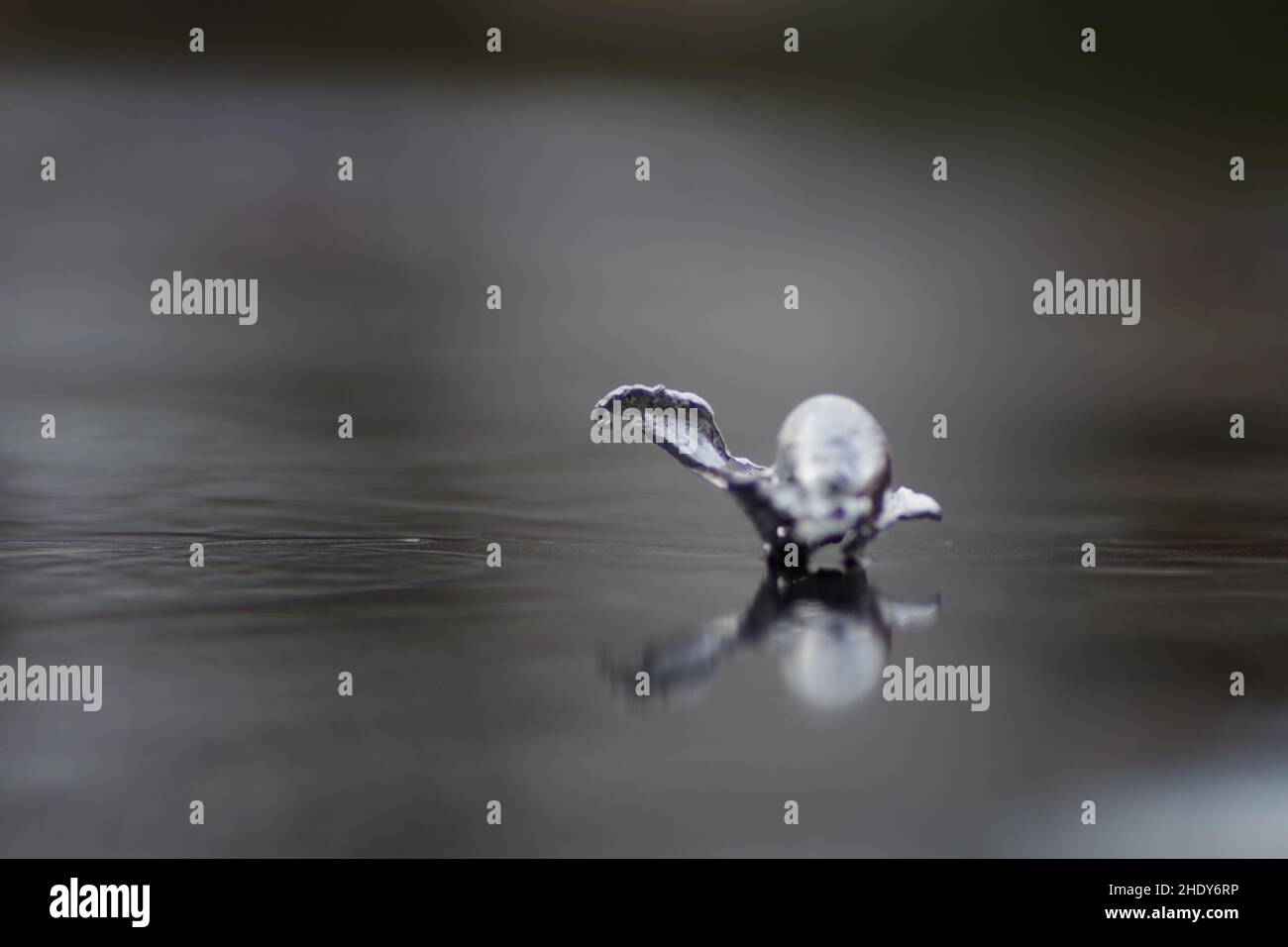 Pewter casting object on the lake Stock Photo - Alamy